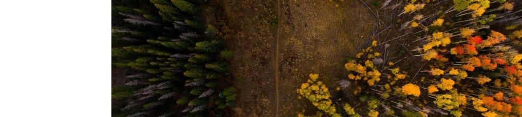 Poppy Bank - Personal and Business banking for California