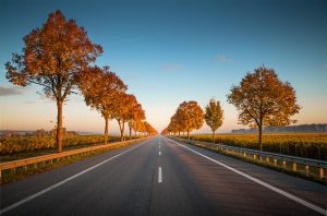 Poppy Bank - Personal and Business banking for California